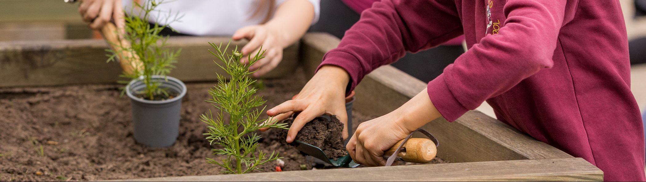 Zero Carbon Pledge - Churchfield Primary School